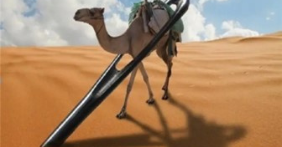 In ricchezza e in povertà | Matrimonio Cristiano